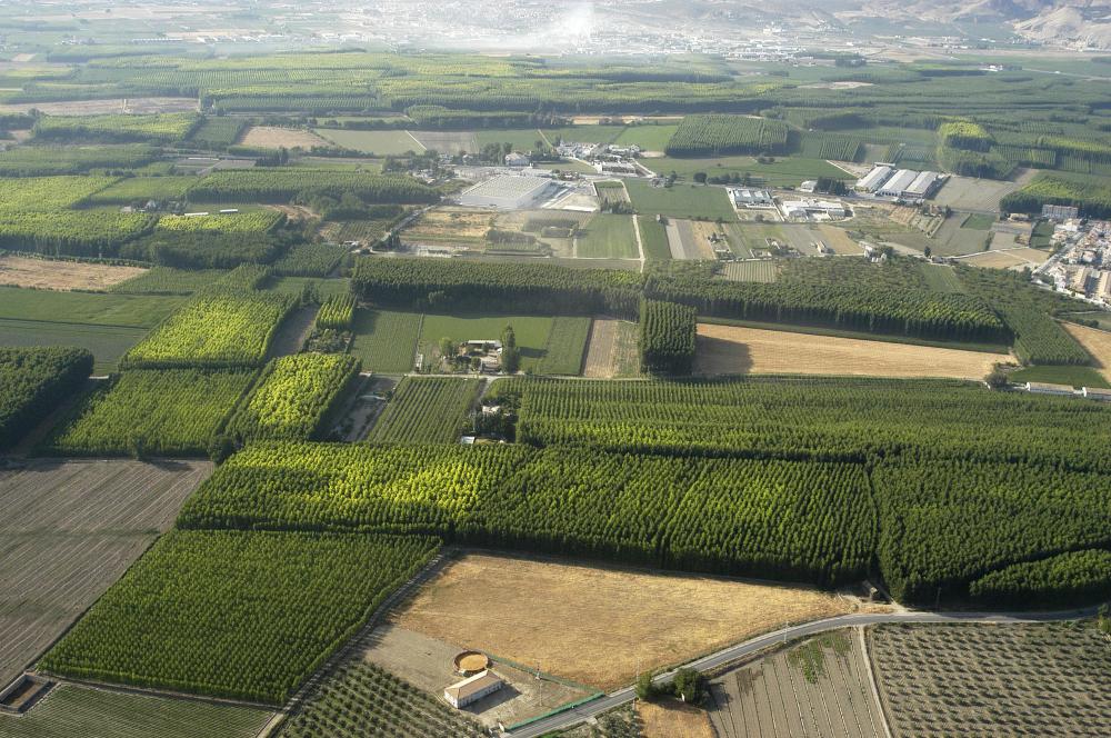 What are the Different Types of Easement Rights?