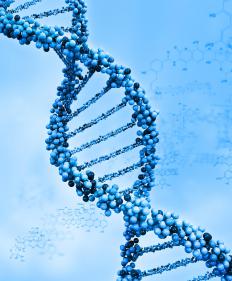 What Are the Different Types of Biological Evidence?